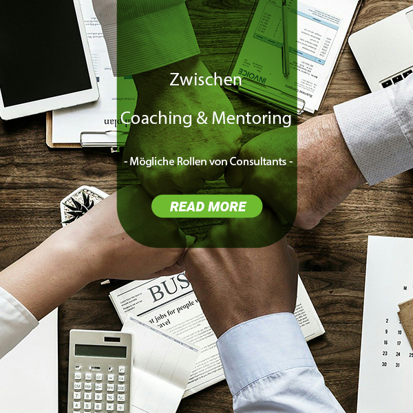 Zwischen Coaching & Mentoring | Diginary Consulting gUG